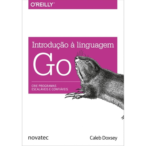 Introdução à Linguagem Go Em Promoção Na Americanas 
